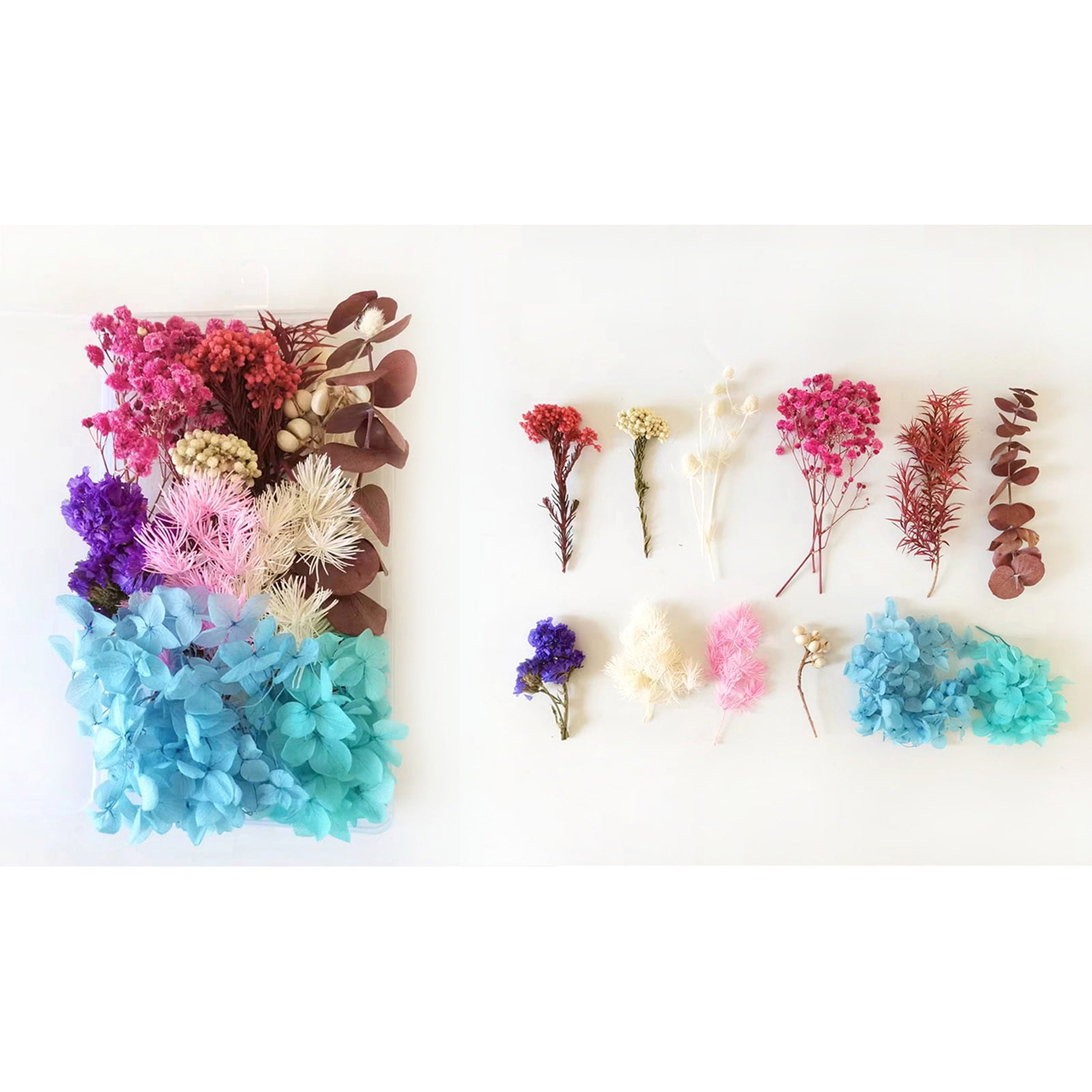 Ashosteey Dried Pressed Flowers for Resin Supplies,Natural Dried ...
