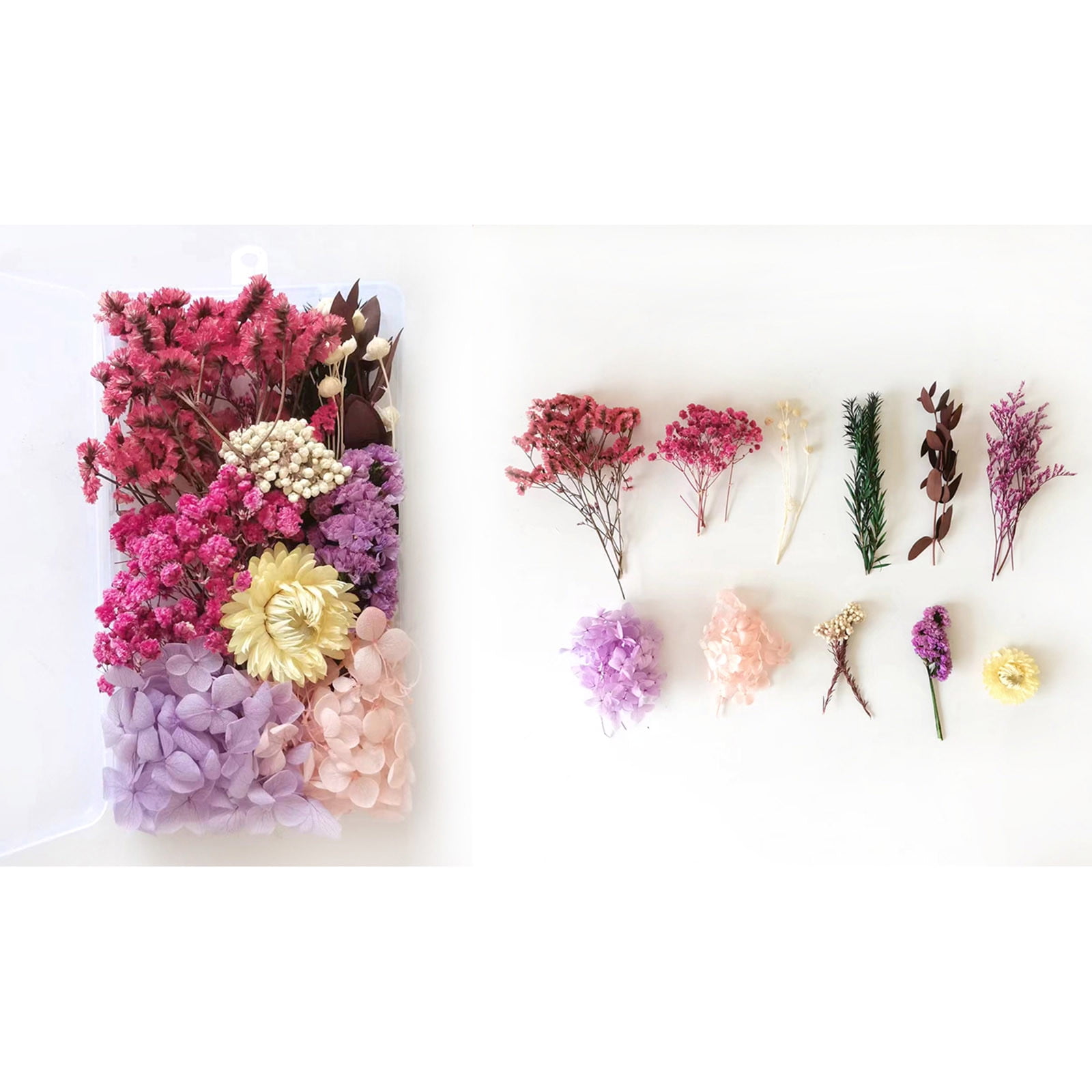 Ashosteey Dried Pressed Flowers for Resin Supplies,Natural Dried ...