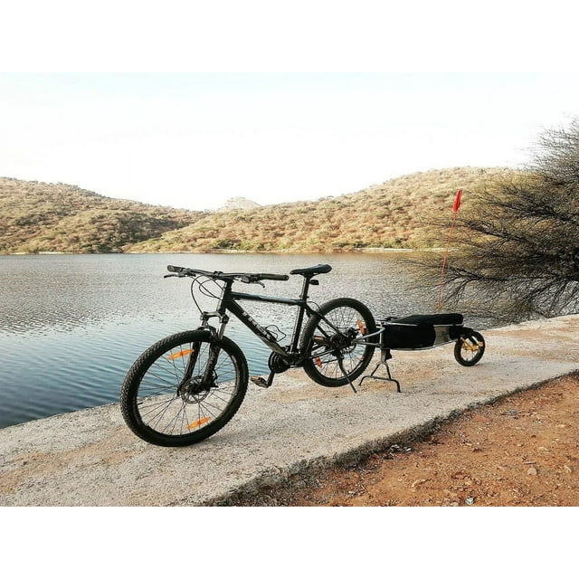 Ashwa Pro:-The Chariot Bike Trailer - Walmart.com