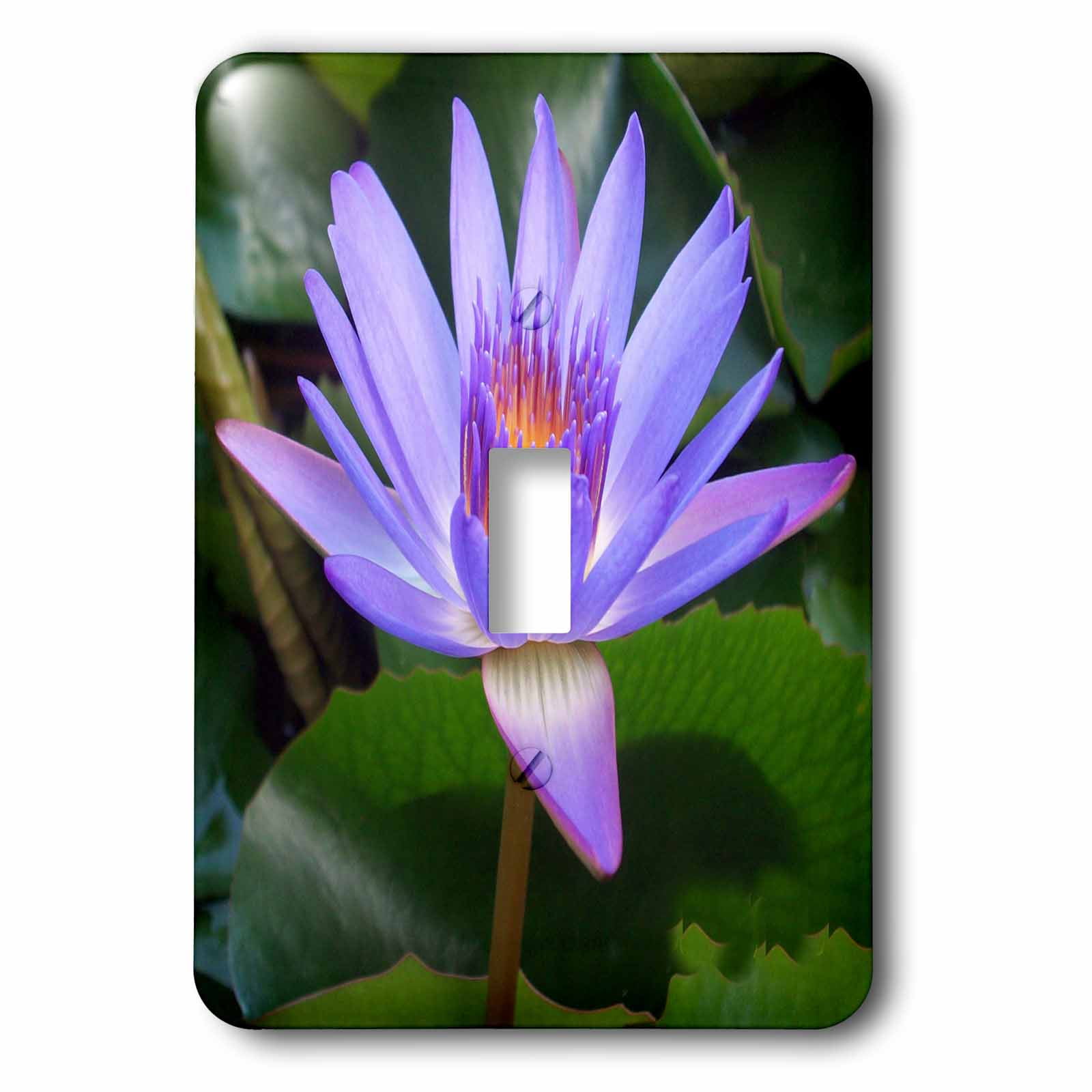 Asia Lotus Flower in the Nature single toggle switch lsp-182159-1 ...