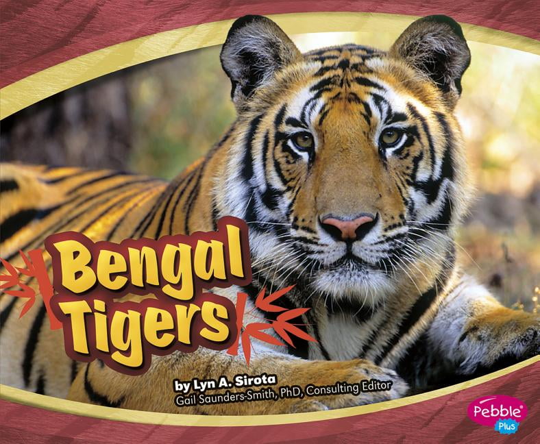 Asian Animals Bengal Tigers, (Paperback) - Walmart.com