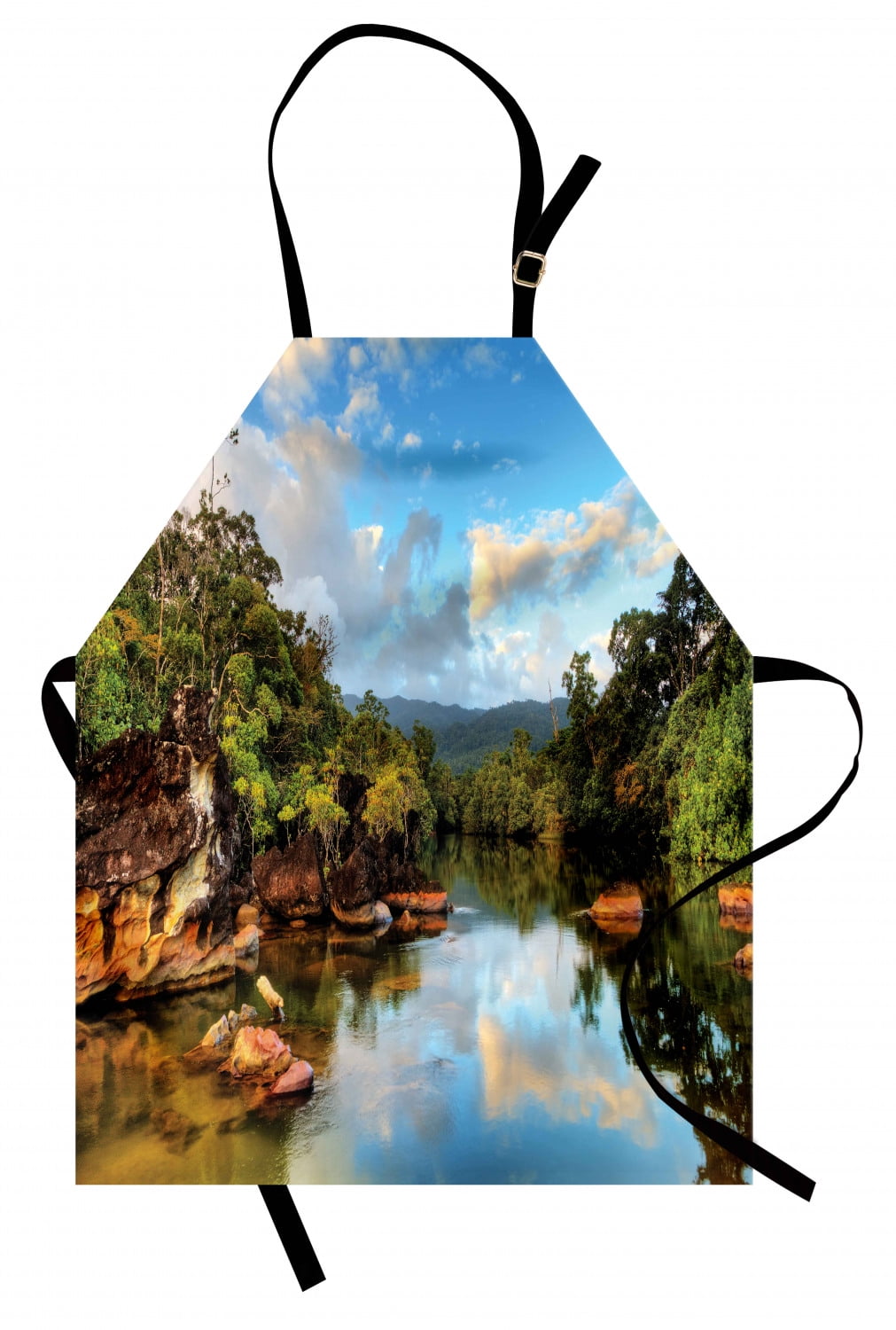 Asian Apron View of the Tropical Jungle River at the Beach of Masoala ...