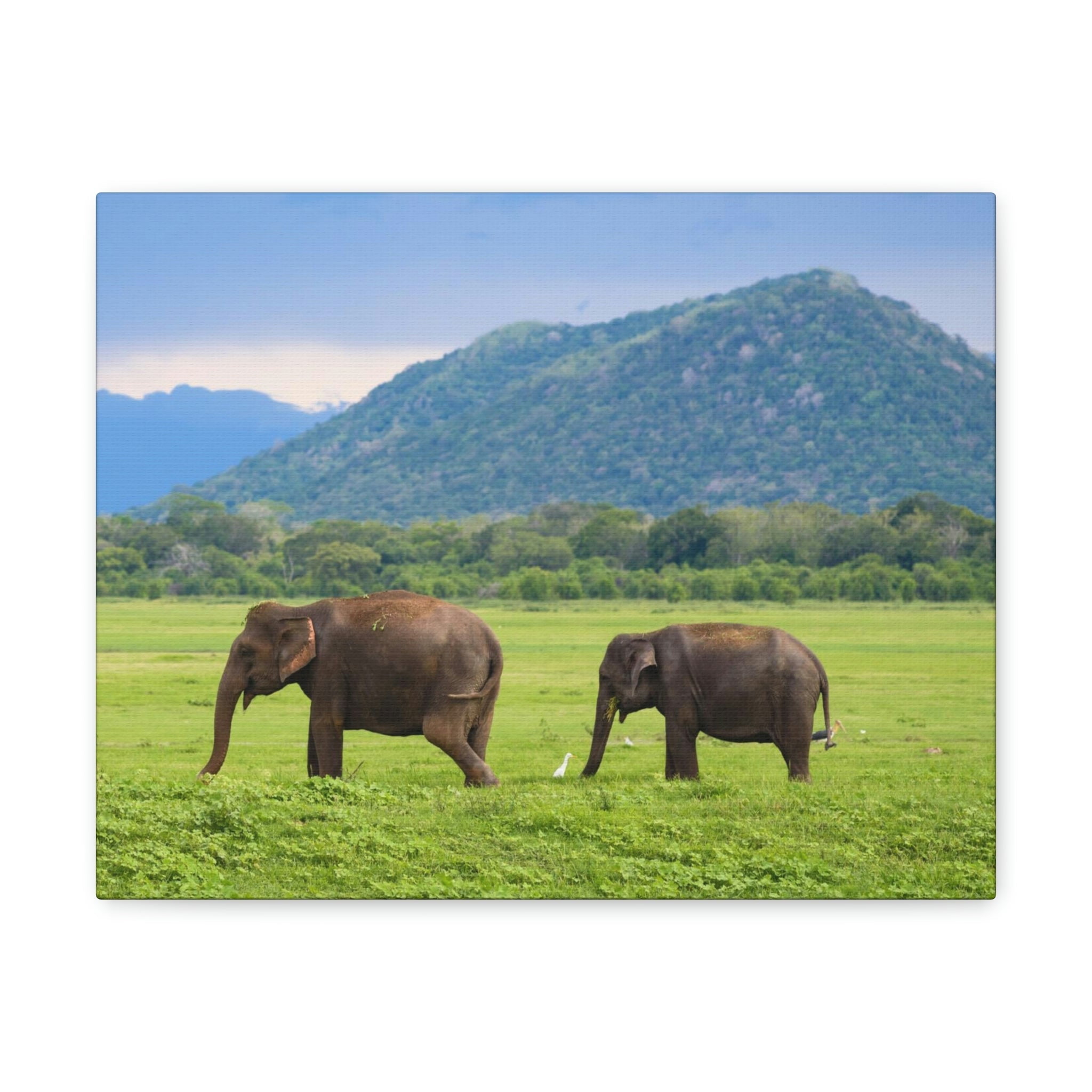 Asian Elephant Couple Asian Elephant Troop Print Animal Wall Art ...