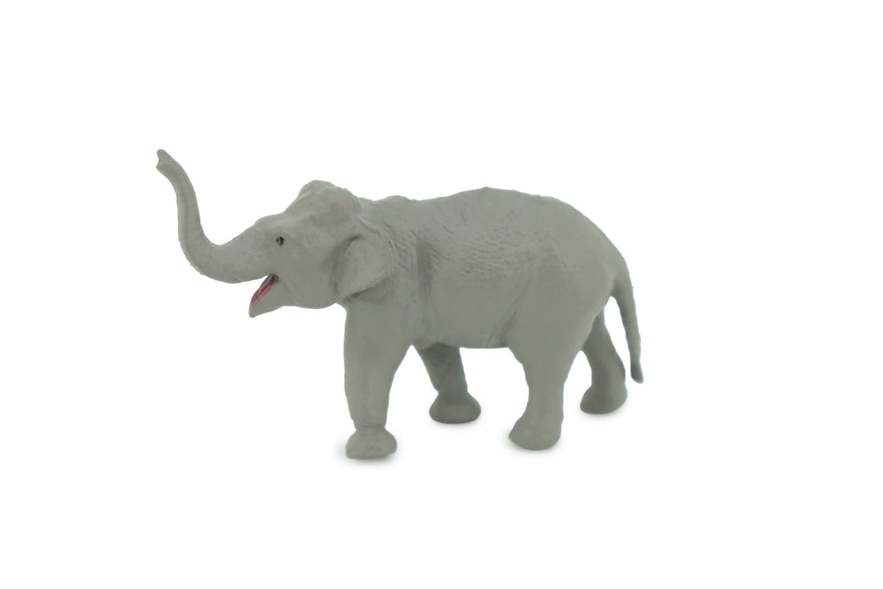 Asian Elephant, Elephas maximus, Educational, Rubber Animal, Realistic ...