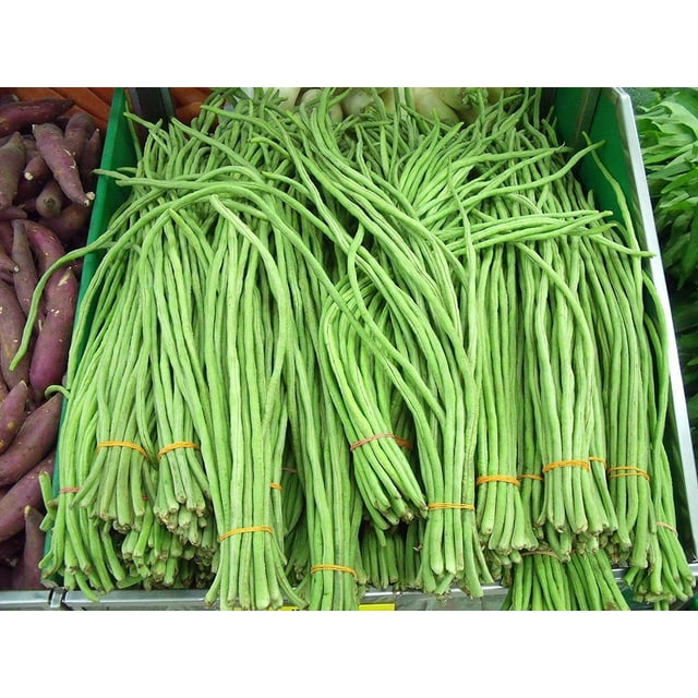 Asian Long Bean Seeds for Planting (30 Seeds) - Fast Growing Variety ...