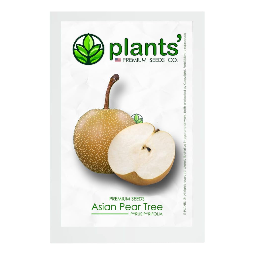 Asian Pear Tree | Premium Seeds | Pyrus pyrifolia 'Fruit' | Plants ...