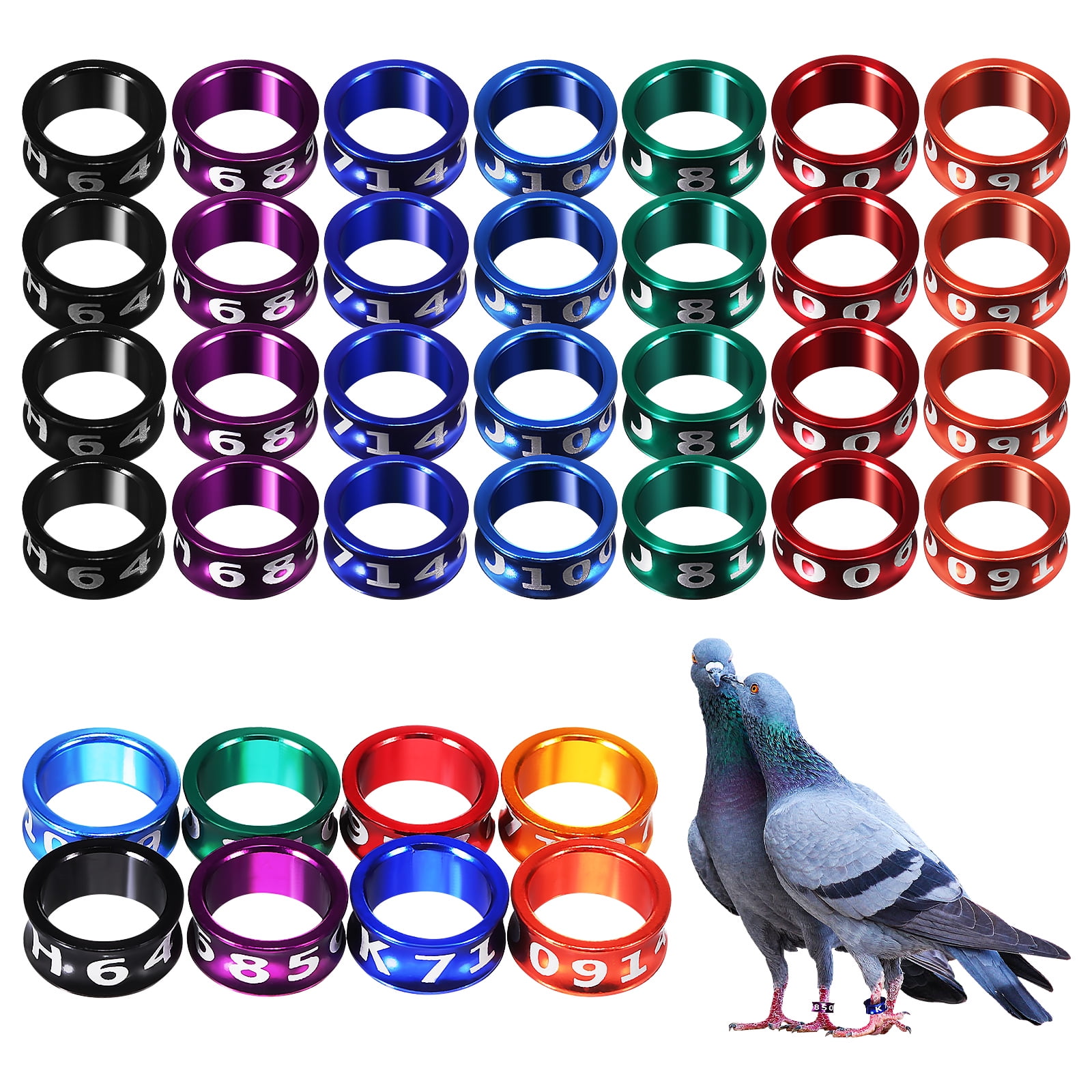 Askfic Bird Leg Bands 50 Pcs Bird Leg Bands Chicken Leg Bands Pigeons ...