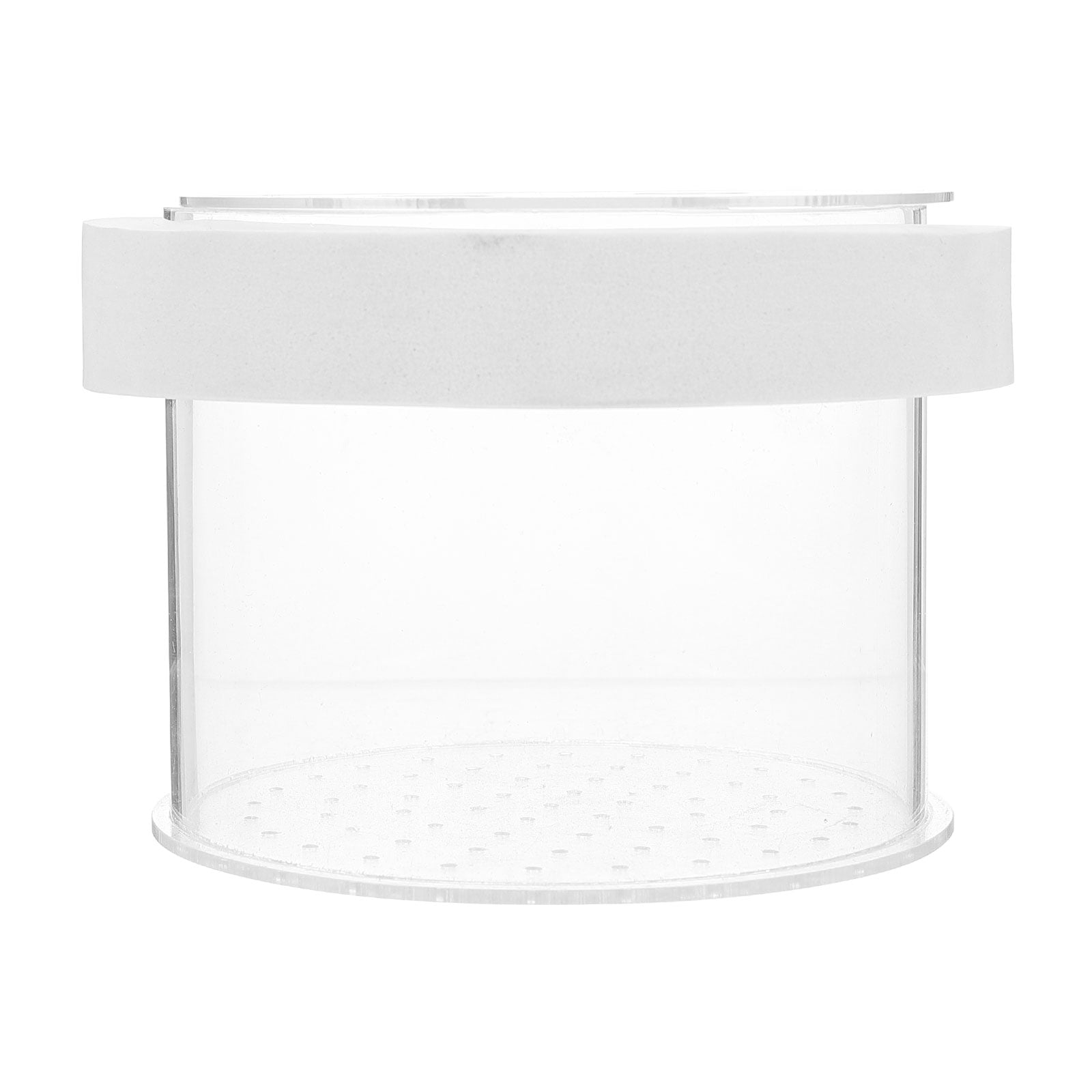 Askfic Small Fish Breeder Acrylic Fish Breeding Box for Guppies & Baby ...