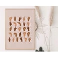 Asl Poster American Language Poster Language Alphabet Poster Classroom ...