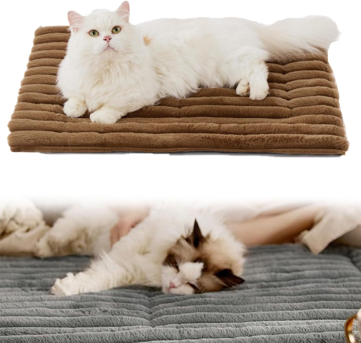 Asolla Cat Bed, Self Warming Pet Bed, Self Warming Pet Mat Medium/Small ...