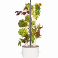 Asonic NT86310 Gardyn Studio Hydroponics Growing System Kit & Vertical ...