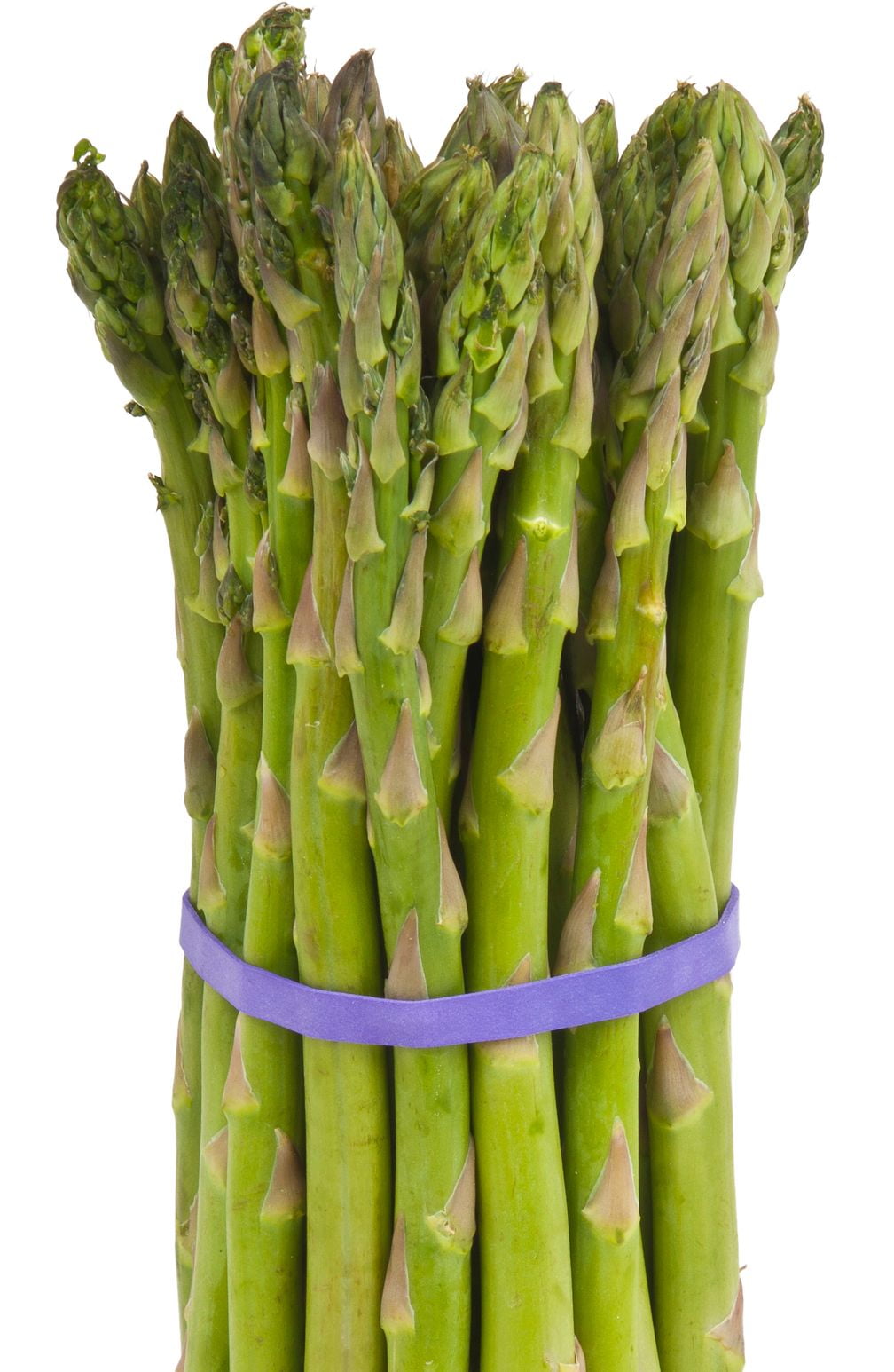 Asparagus UC 157 F2 Hybrid Great Vegetable by Seed Kingdom Bulk 5 Lb ...