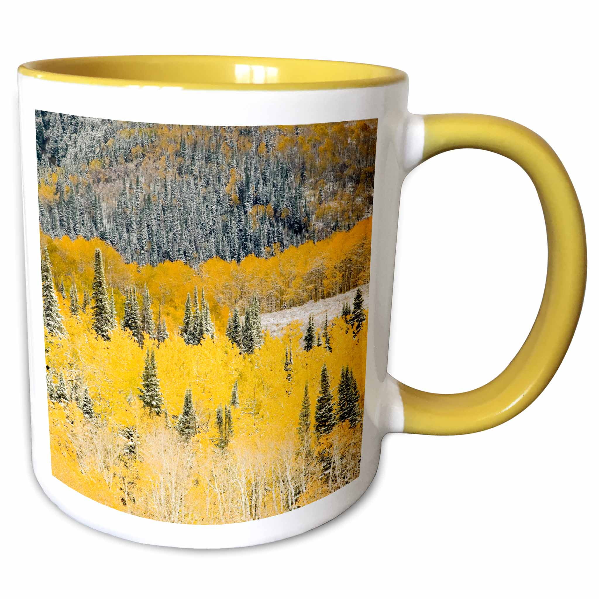 3drose, Aspen Alley, Forest, Battle Mountain Pass - Us51 Hga0035 ...
