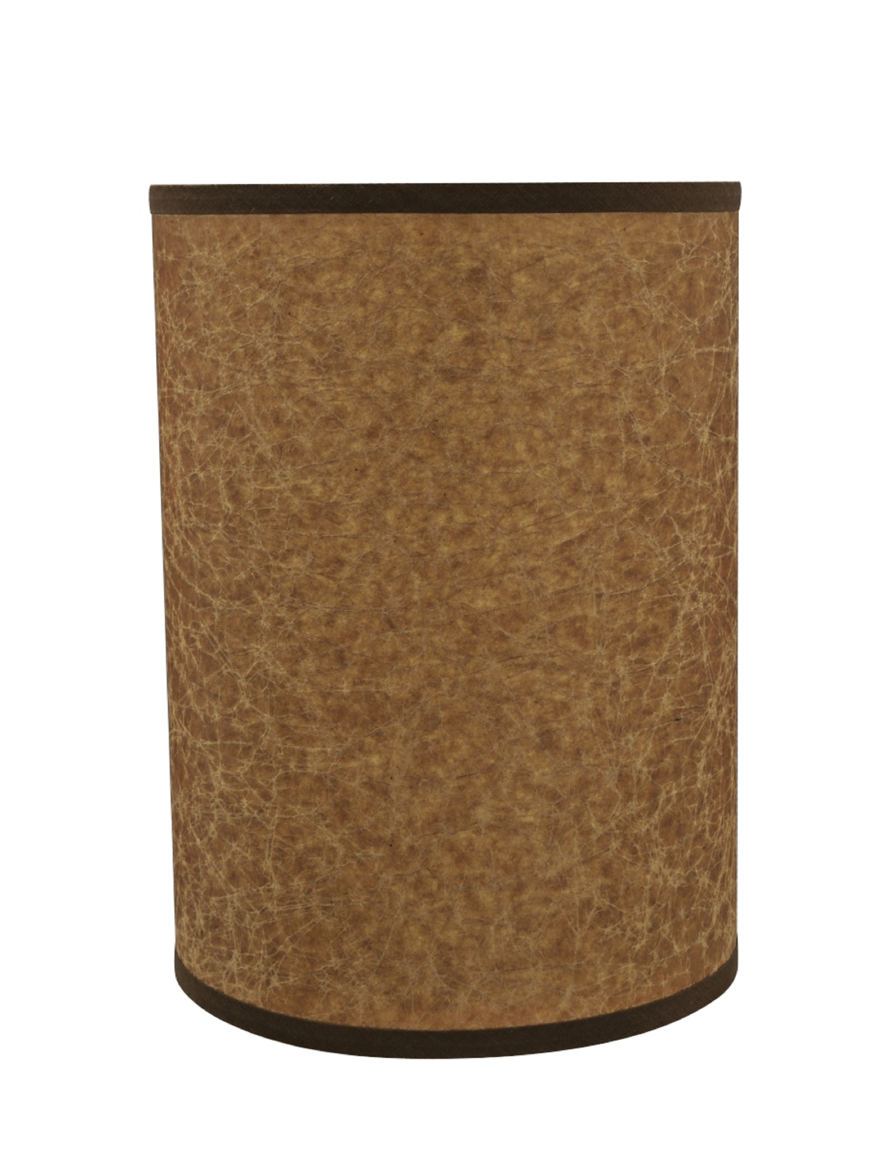 Aspen Creative 31258 Transitional Drum (Cylinder) Shaped Spider ...