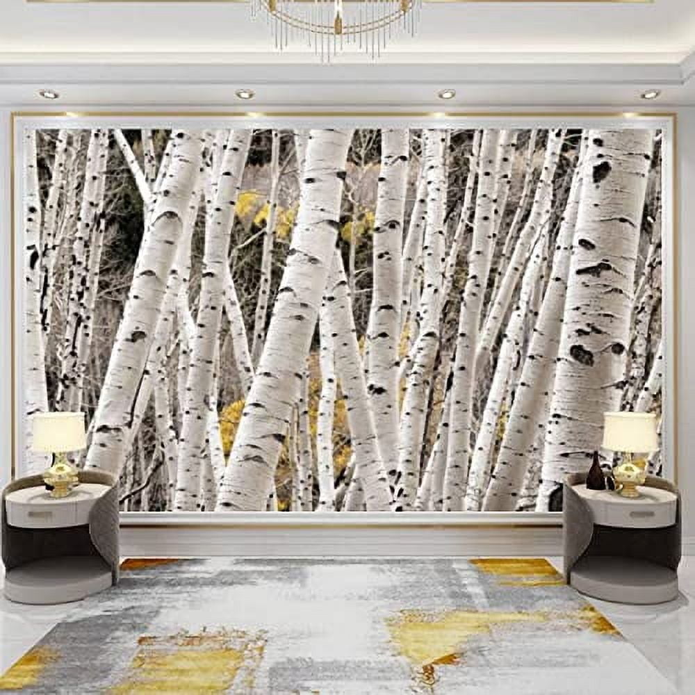 Aspen Tree Trunks in The Autumn 3D Wall Murals Wallpaper, Forest ...
