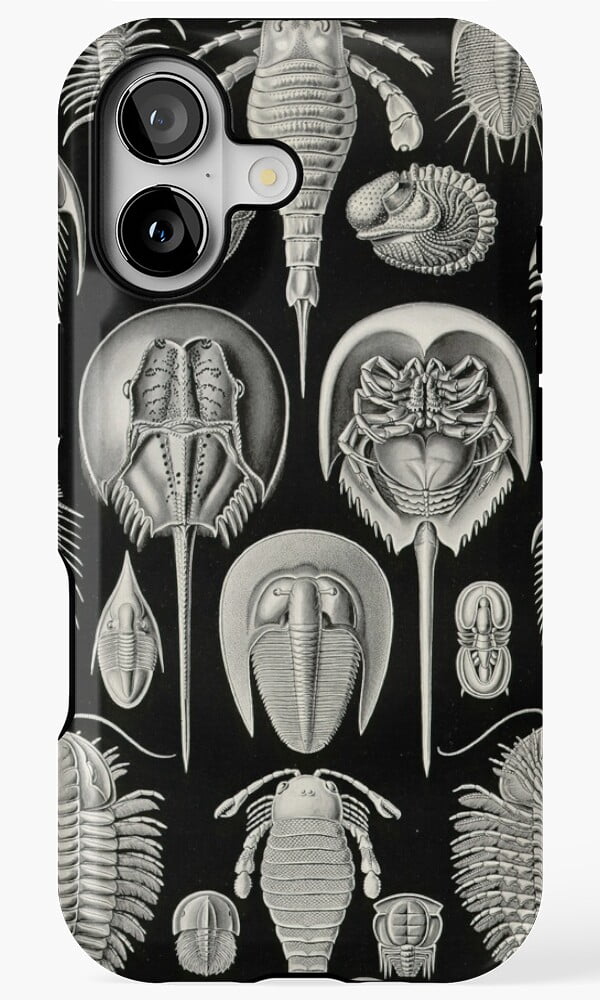 Aspidonia Ernst Haeckel Vintage Science Nature Phone Case for iPhone 11 ...