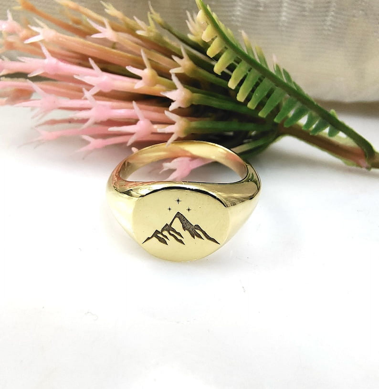 Aspire Jewels-Acotar Night Court Signet ring, 925 Silver Starry ...