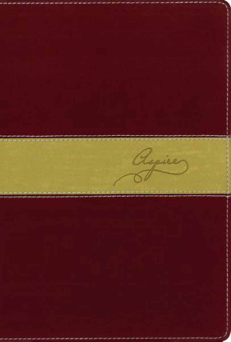 Aspire the Men, Women of Color Study Bible (NIV, Rich Red/Gold, Gold ...