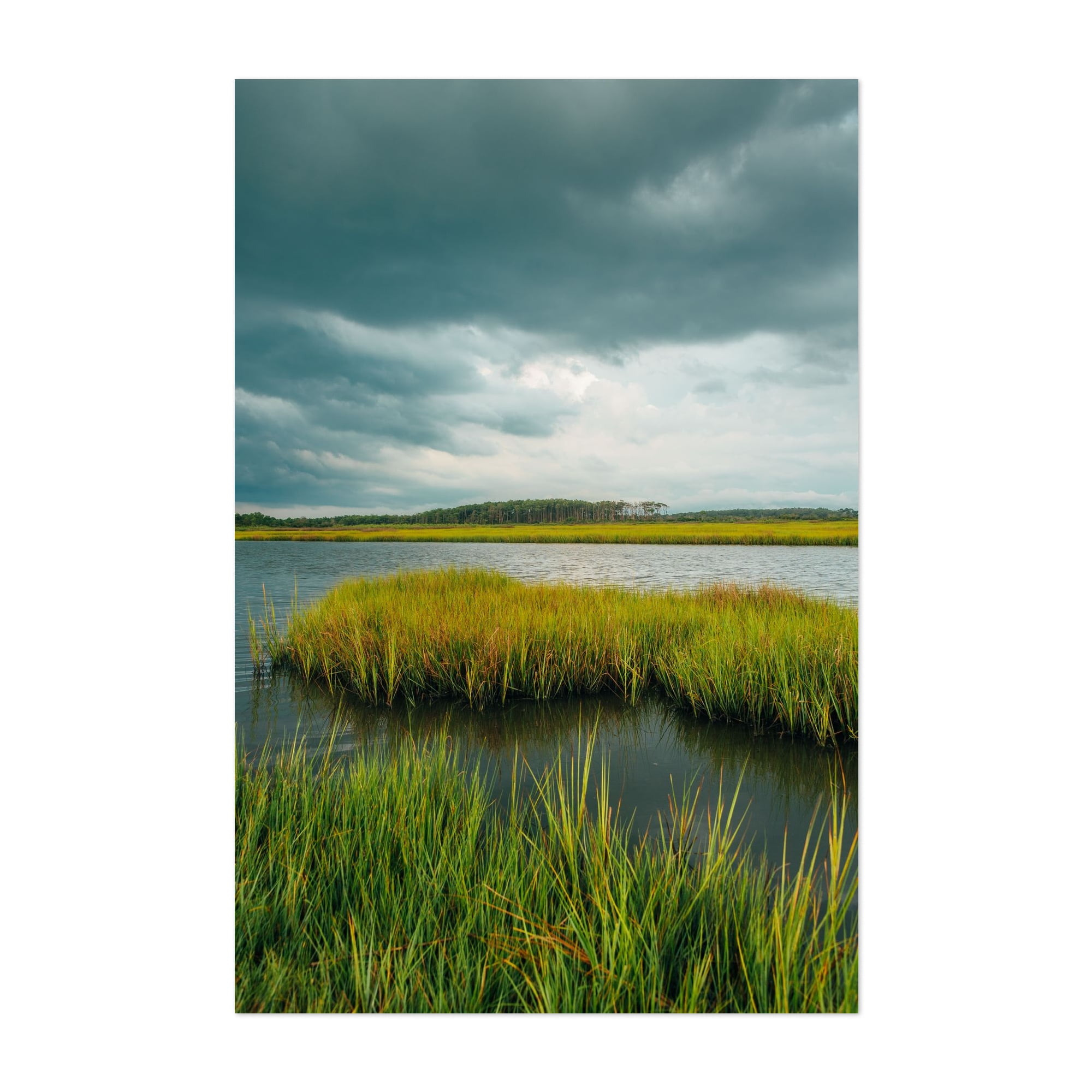 Assateague Island Marsh 02 - Photography Landscape Nature Scenic ...