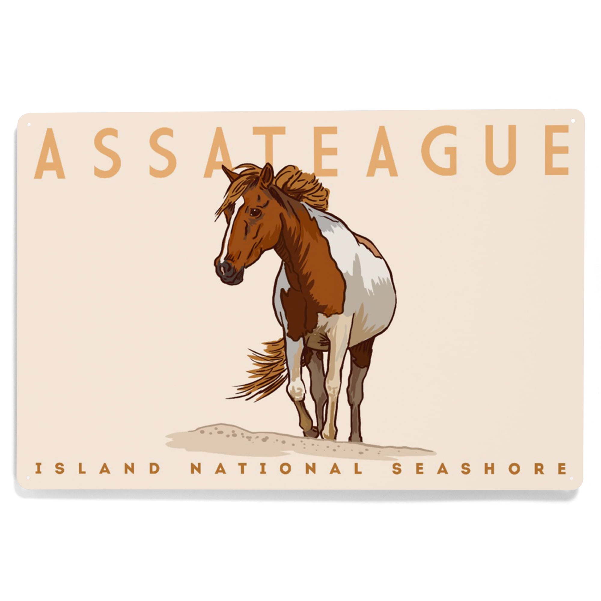 Assateague Island National Seashore, Wild Horse, Tan (12x18 Aluminum ...