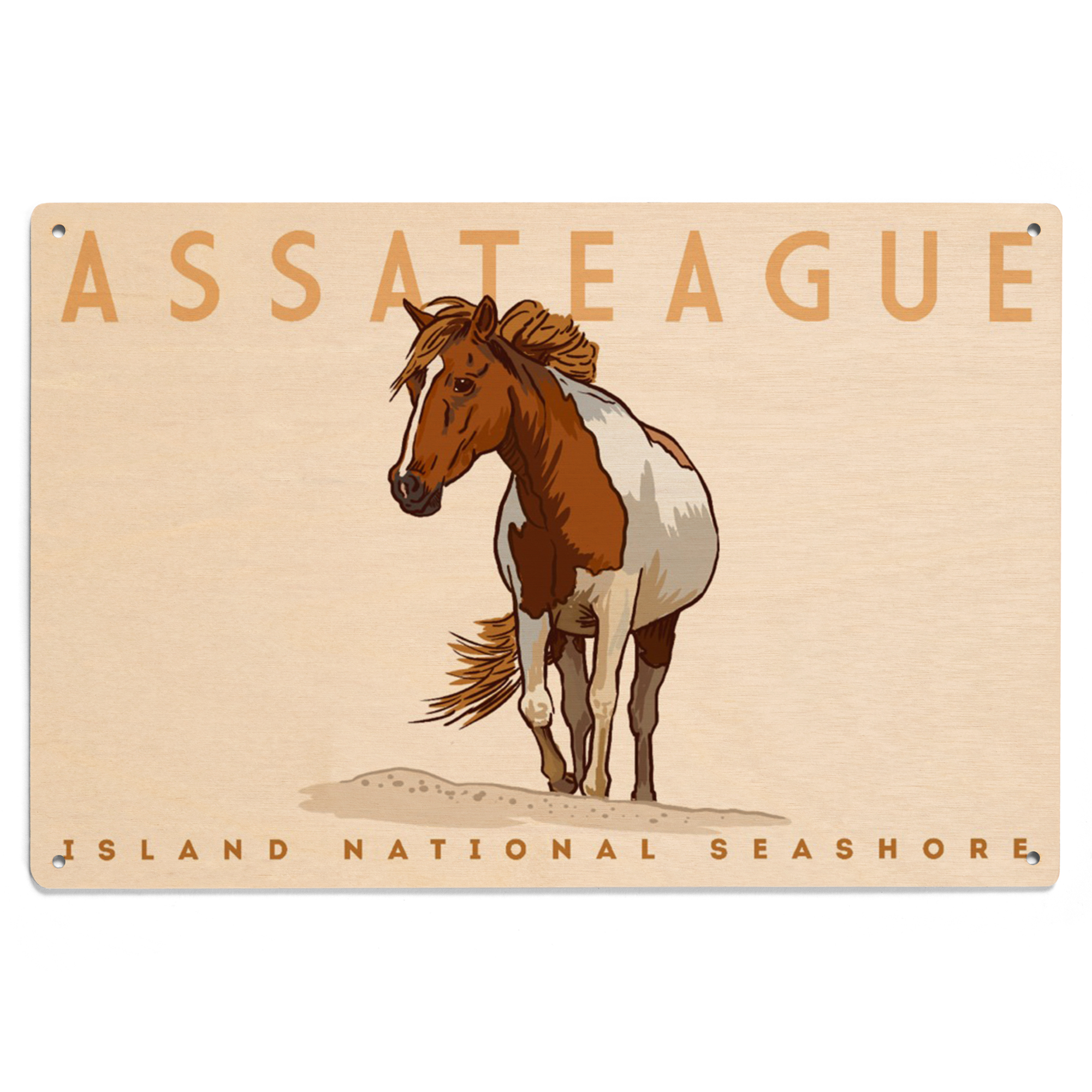 Assateague Island National Seashore, Wild Horse, Tan Birch Wood Wall ...