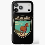 Assateague Maryland State Park Souvenir Protective and Compatible ...