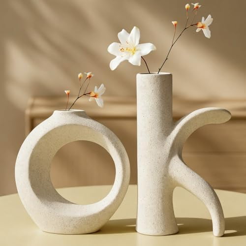 Assemble OK Ceramic Vase Set of 2 for Home Decor, Modern Boho Ins Style ...