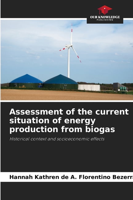 Assessment of the current situation of energy production from biogas ...