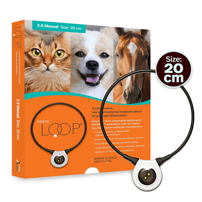 Assisi LOOP 2.0 Manual tPEMF Device for Dogs, Cats, and Horses ...
