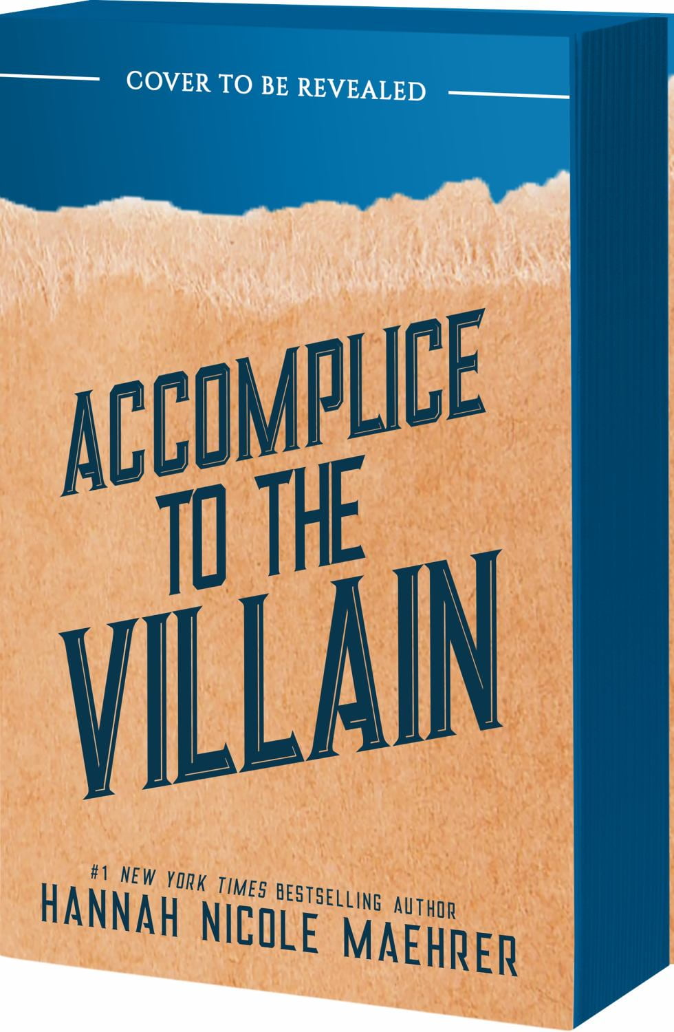 Accomplice to the Villain (Paperback) - Walmart.com