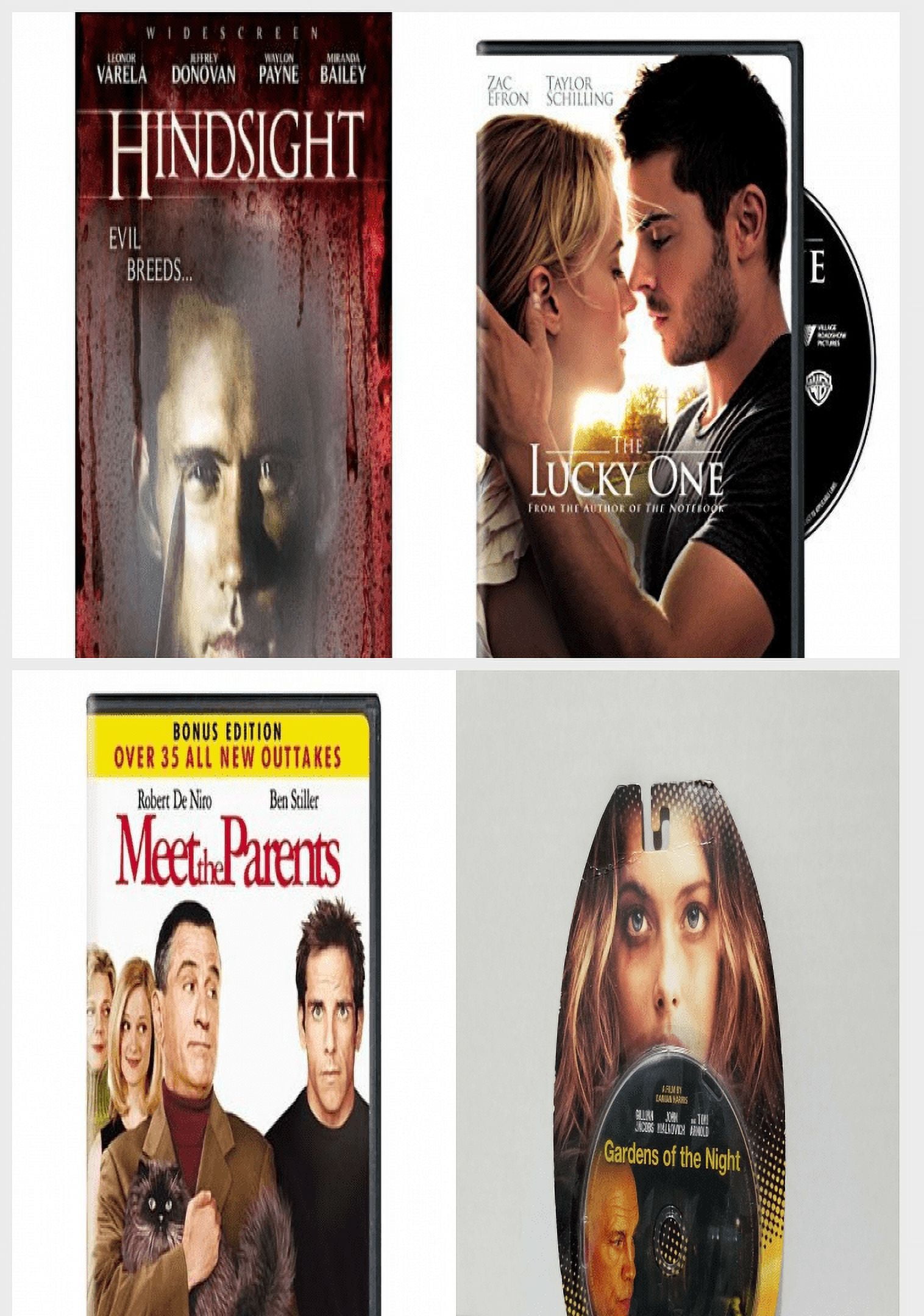 Assorted 4 Pack DVD Bundle: Hindsight, The Lucky One, Meet the Parents ...