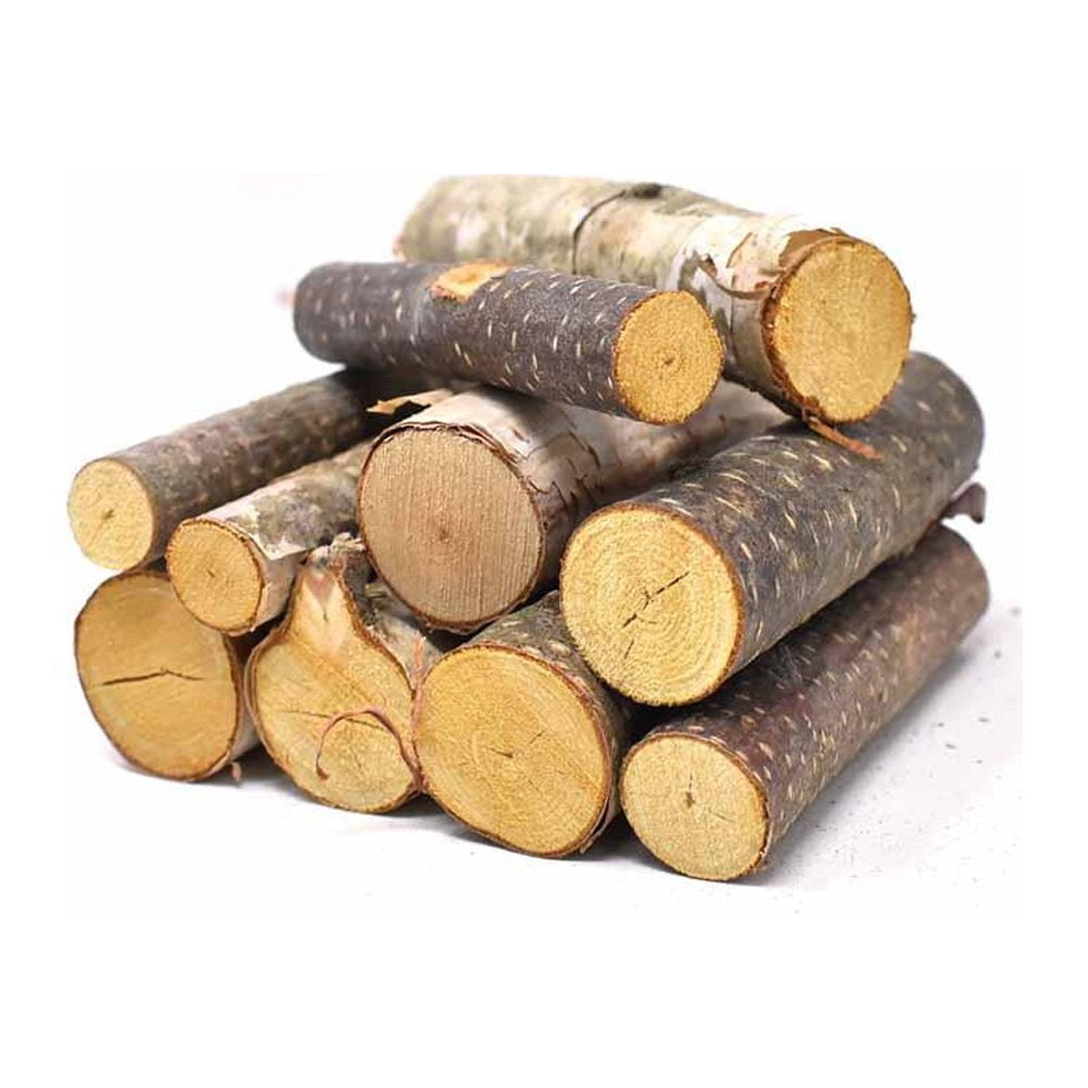 10-Piece Assorted Birch Mini Logs, Natural, Decorative Wooden Craft for ...