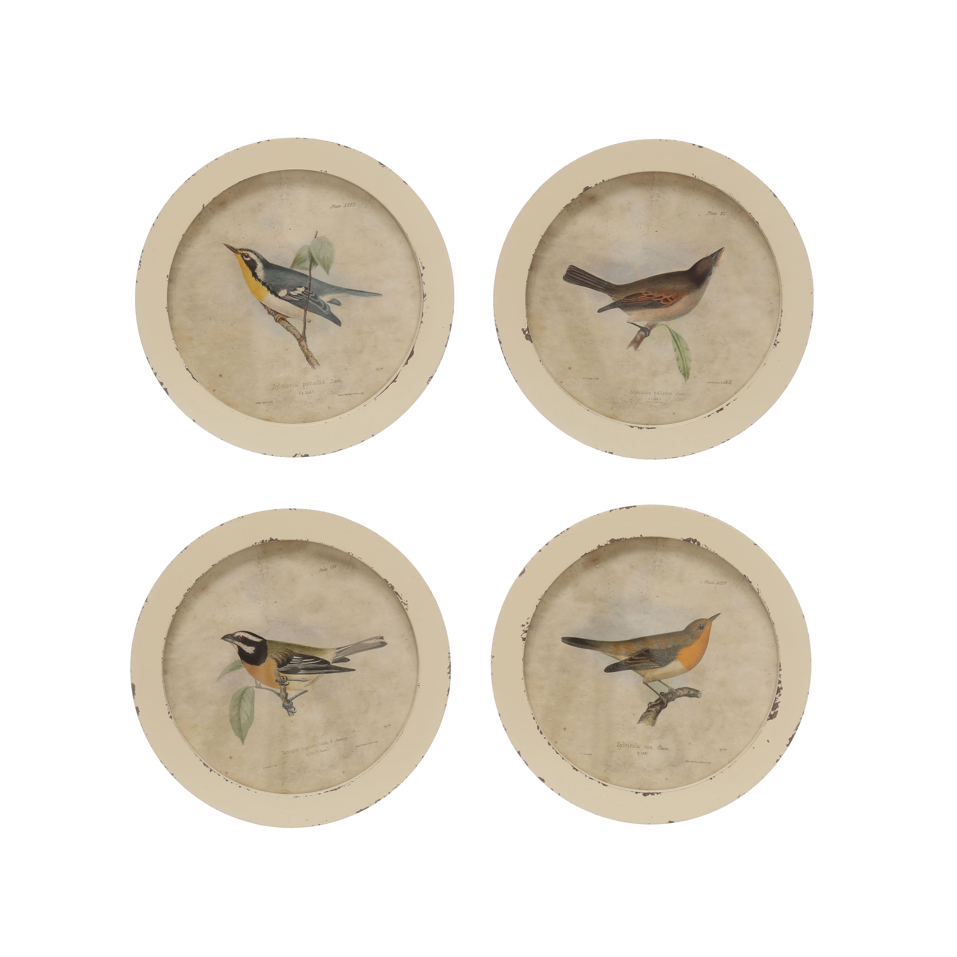 Assorted Bird Wall Sign by Ashland® - Walmart.com