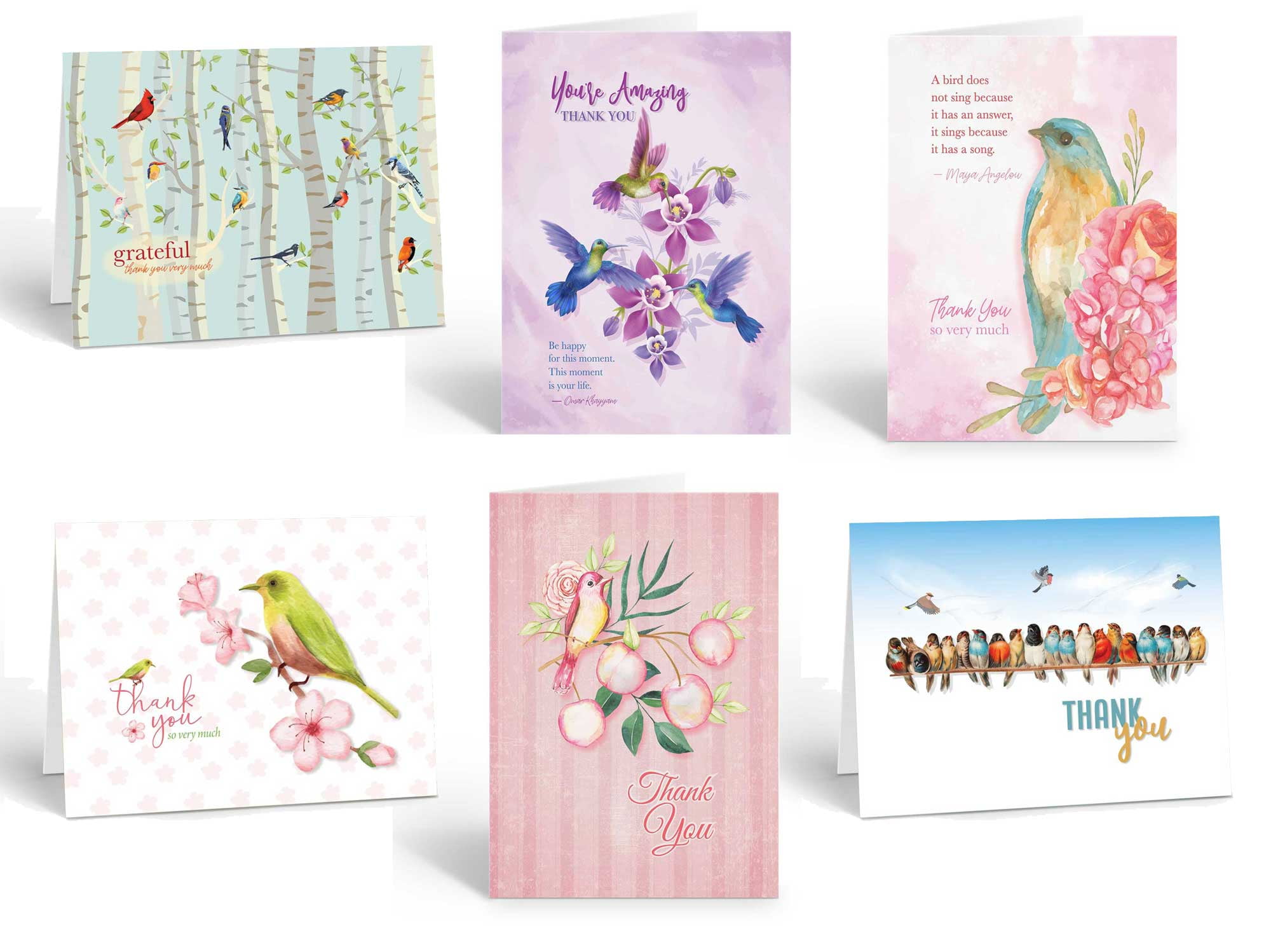 Assorted Birds Thank You Note Card - 12 Thank You Note Cards and ...