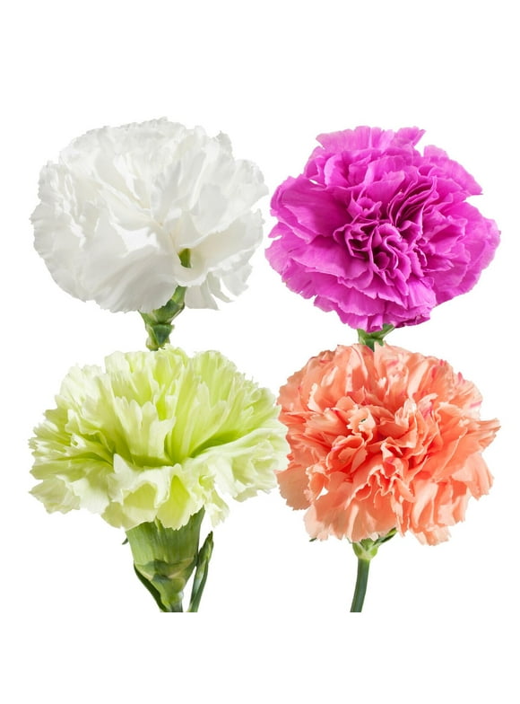 Fresh Flowers in All Flowers - Walmart.com