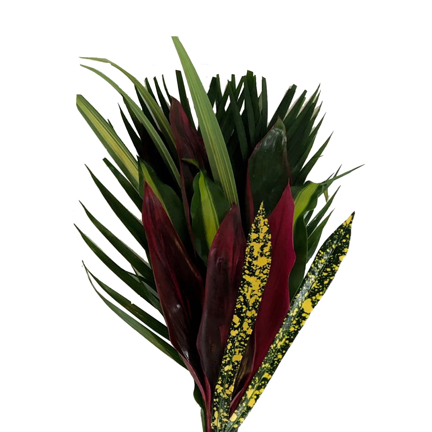 Assorted Colors Foliage Bunch Reina - Farm Direct Fresh Cut Flowers ...