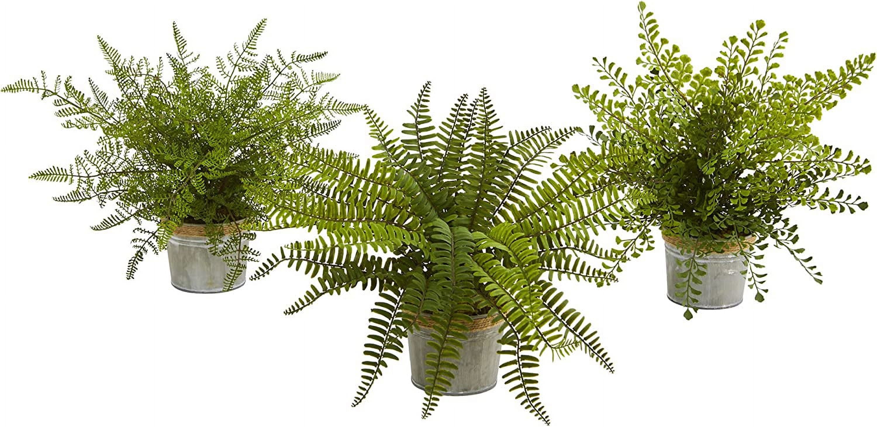 Assorted Ferns with Planter Artificial Plant, Set of 3 - Walmart.com