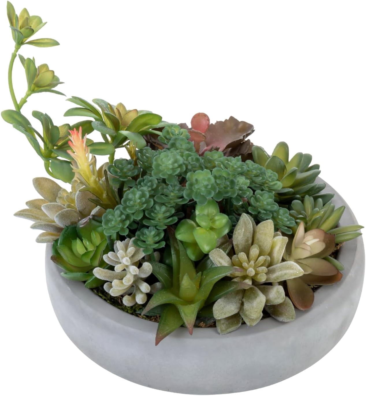 Assorted Indoor Fake Plants Artificial Succulent Arrangement in Round ...
