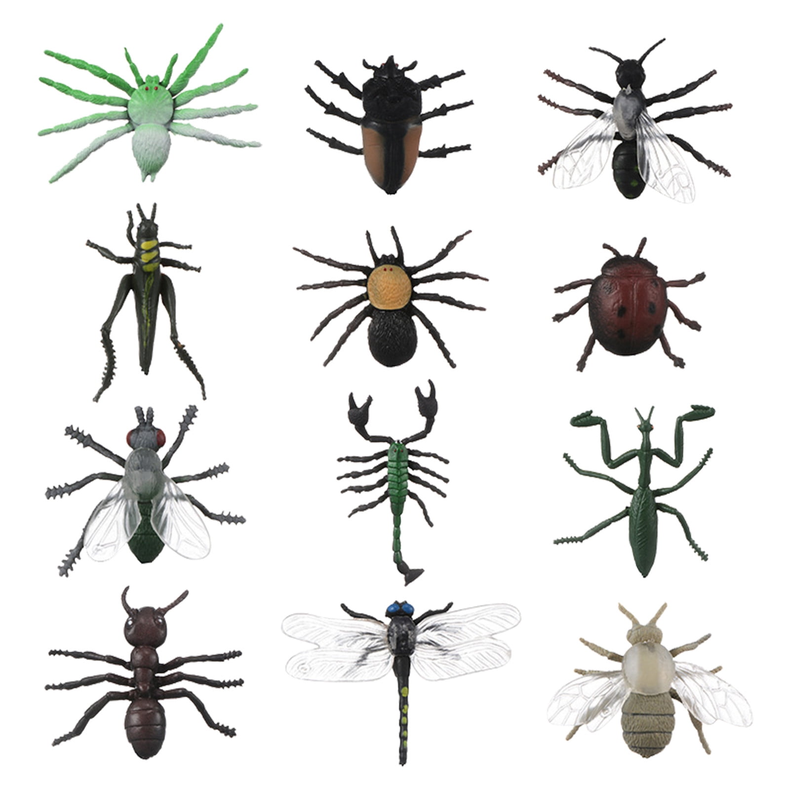 Assorted Lifelike Children Biology Science STEM Toys Gift Realistic ...