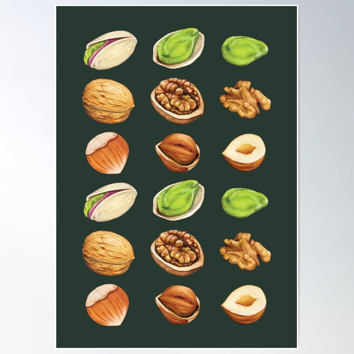 Assorted Nuts - Pistachios, Walnuts And Hazelnuts Set Poster Wall Art ...