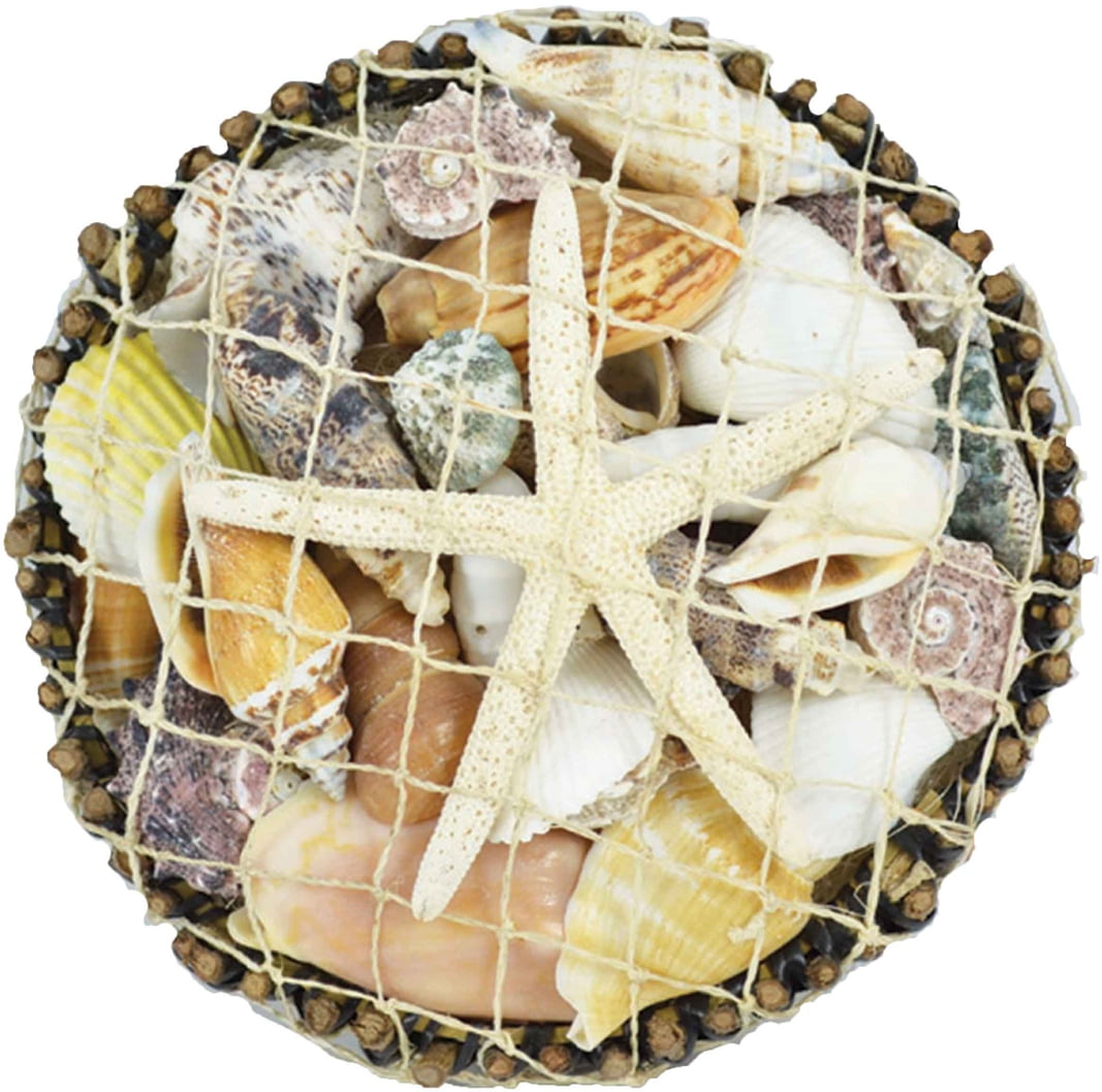 Assorted Seashells in Round Botay Pack & White Star 6" - Walmart.com