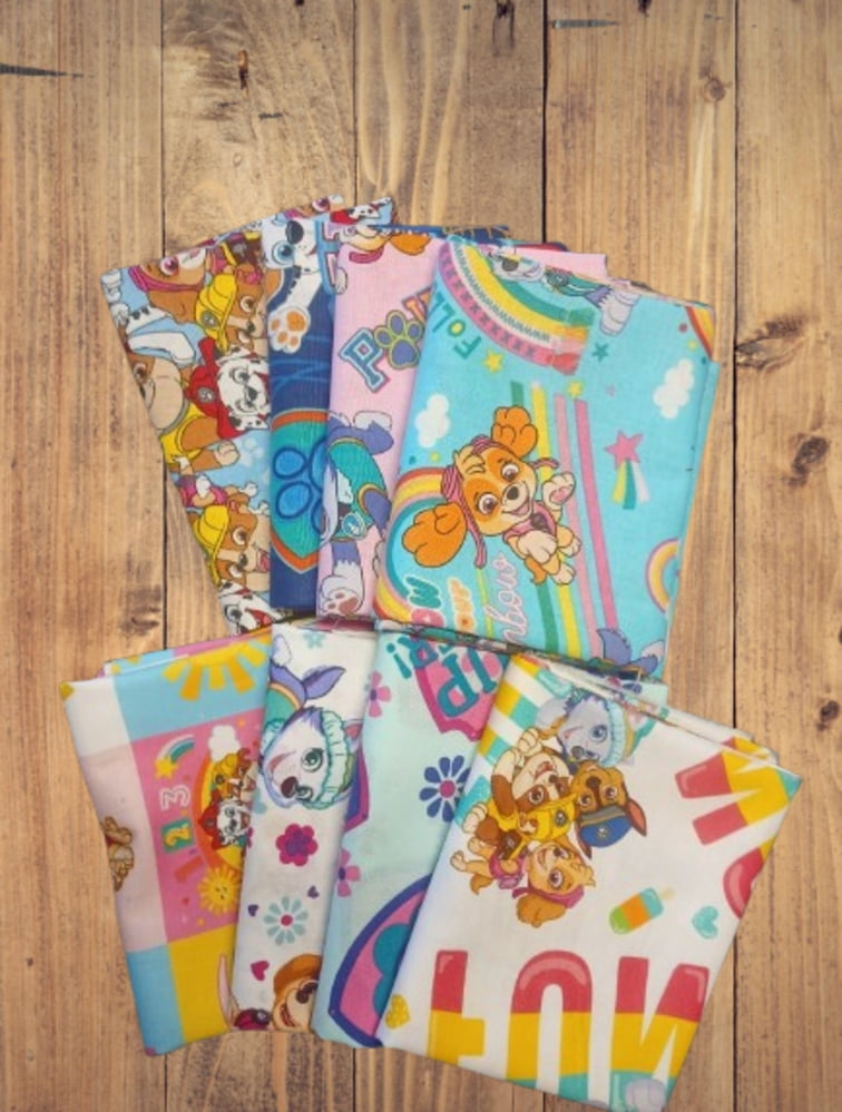 Assorted Skye, Everest, and Friends Paw Patrol Flat Fold Assortment 16 ...