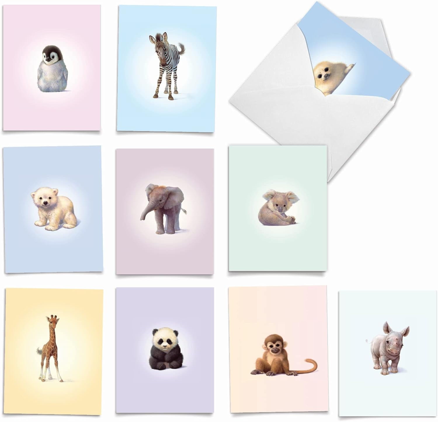 Assorted Wildlife Watercolor Blank Animal Greeting Card Box Set - 10 ...