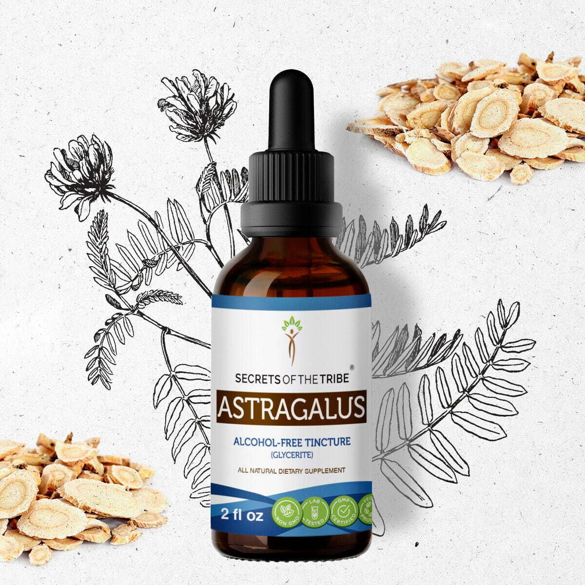 Astragalus Tincture Alcohol-FREE Extract, Organic Astragalus ...