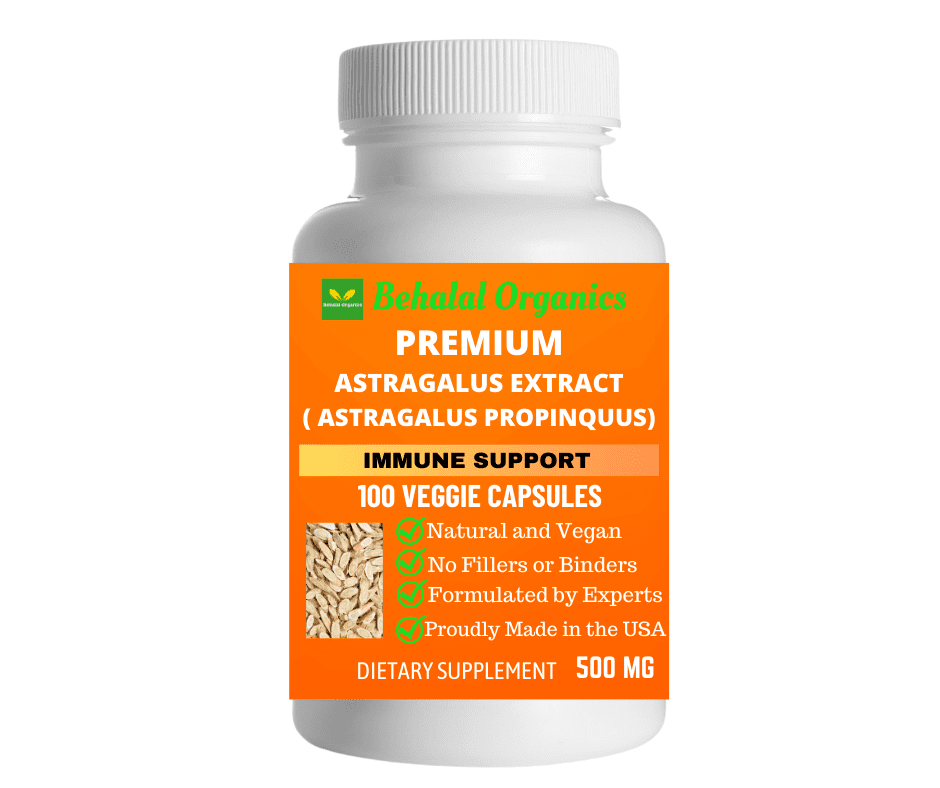 Astragalus extract 100 Quick Release Capsules - 500mg Per Capsule ...