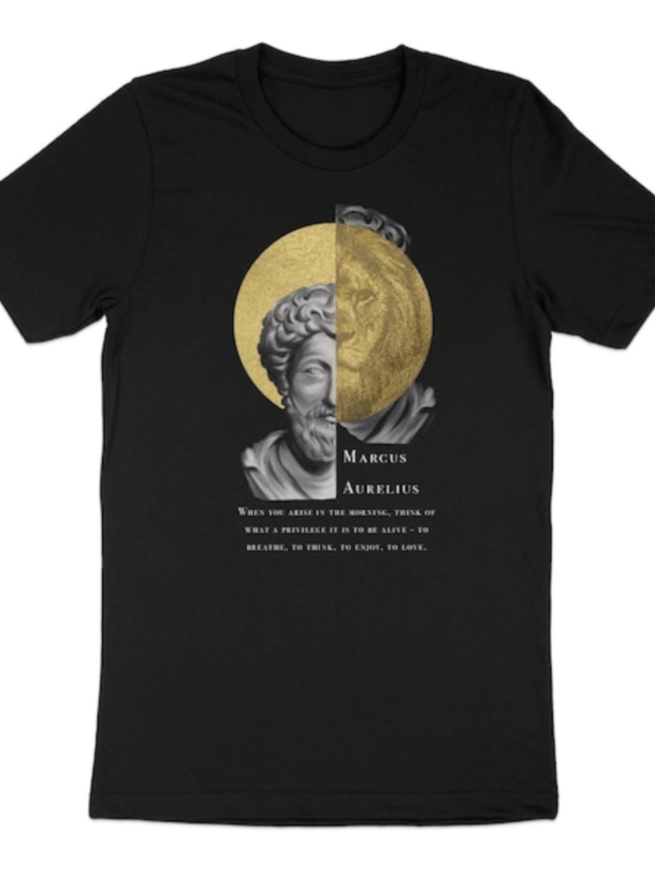 Astraiaintera Unisex T-shirt - Stoic Philosophy Gift, Ancient Wisdom ...