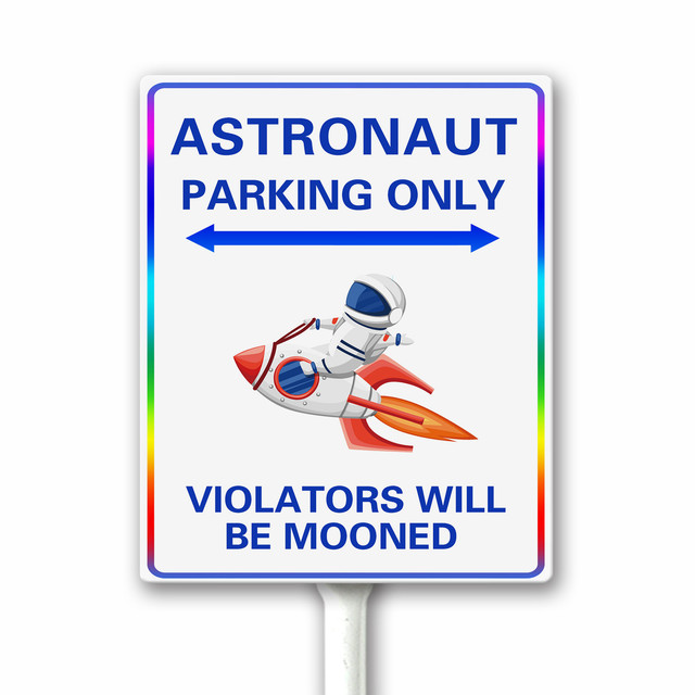Astronaut Parking Only Flamingos Yard Decorations Lawn Kids Birthday ...