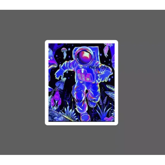 Astronaut Trippy Psychedelic Sticker Phone Decal Water Bottle Stickers ...