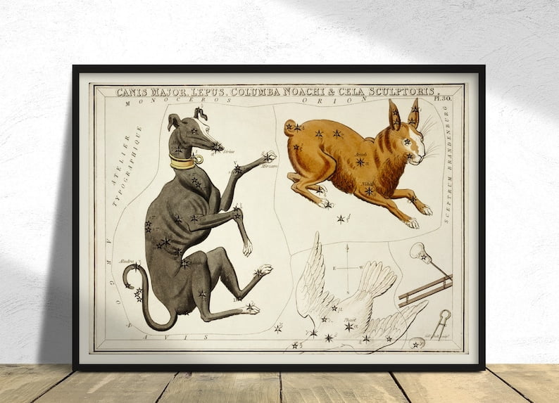 Astronomical Chart Illustration Canis Major Lepus Columba Noachi Cela ...