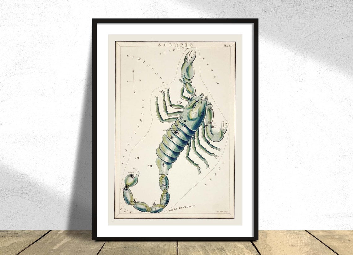 Astronomical Chart Illustration Scorpio Vintage Art Constellation Star ...